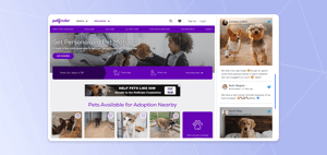 Top 7 Twitter Feed Examples On Your Websites