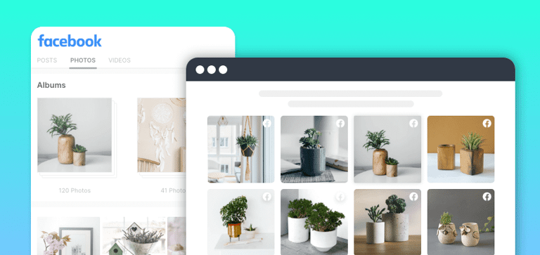 Facebook Post | Facebook Feed Examples On Websites