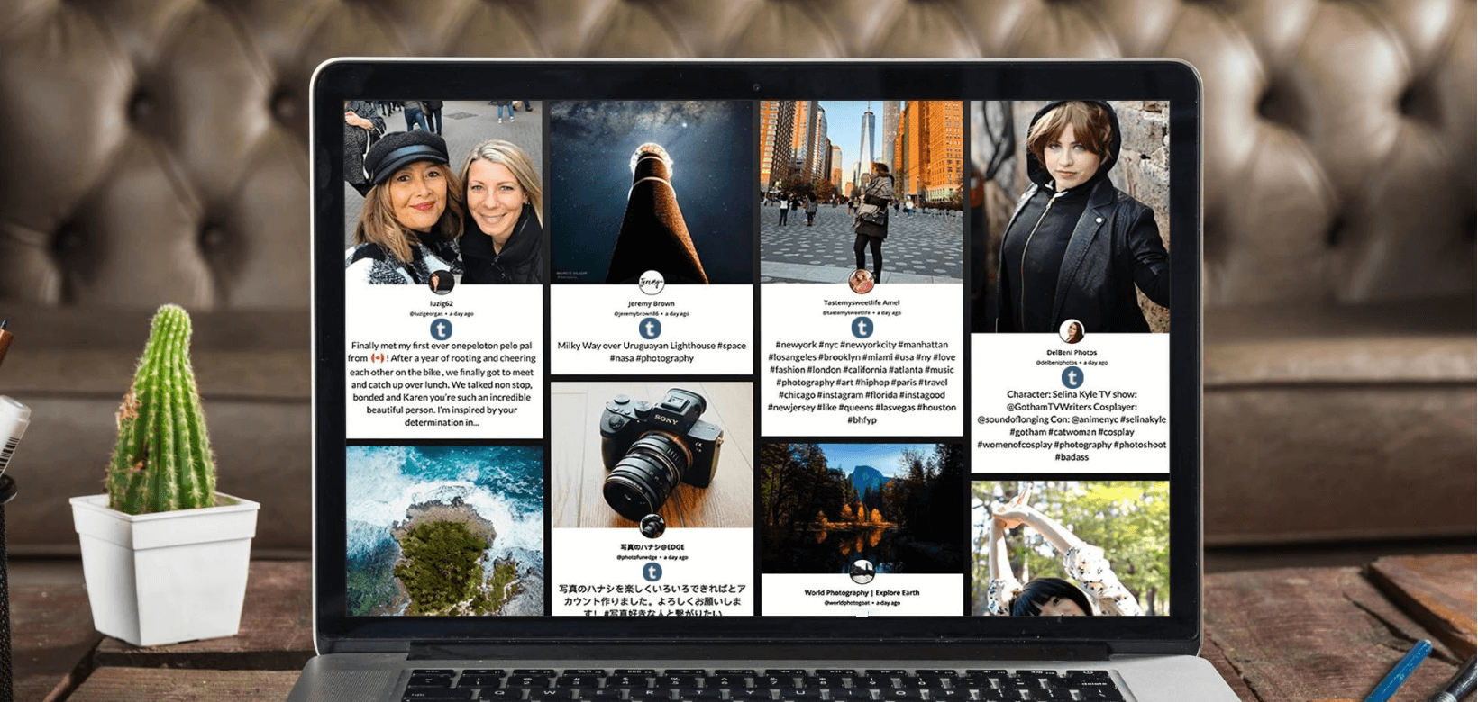 How To Embed Tumblr Feeds On Website - Tagembed