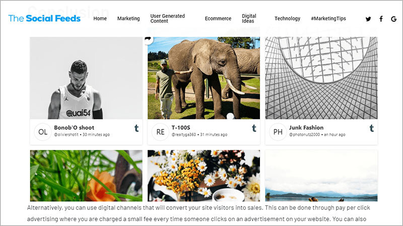 How To Embed Tumblr Feeds On Website - Tagembed