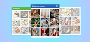 Top 7 Instagram Feed Examples On Website