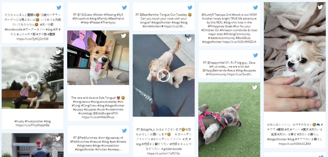 Display Social Wall On Website - Complete Guide in 2025