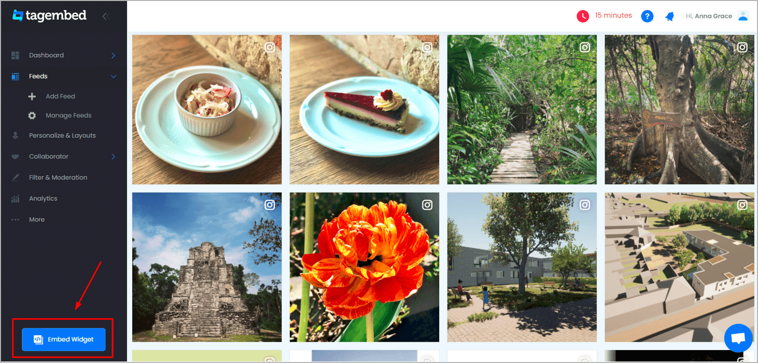 How to Embed Instagram Feed On Your Website For Free? [2023]